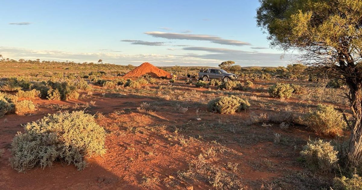 DMAW Lawyers • DMAW Lawyers attends agribusiness roadshow with Field ...