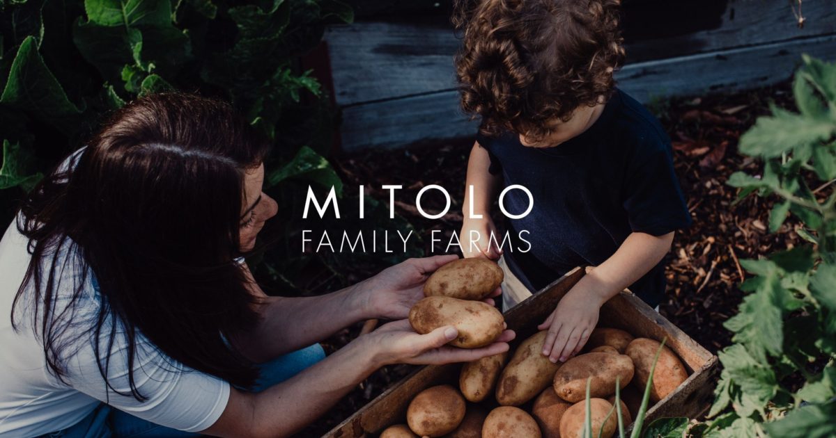 DMAW Lawyers • Mitolo family completes sale of majority equity interest ...