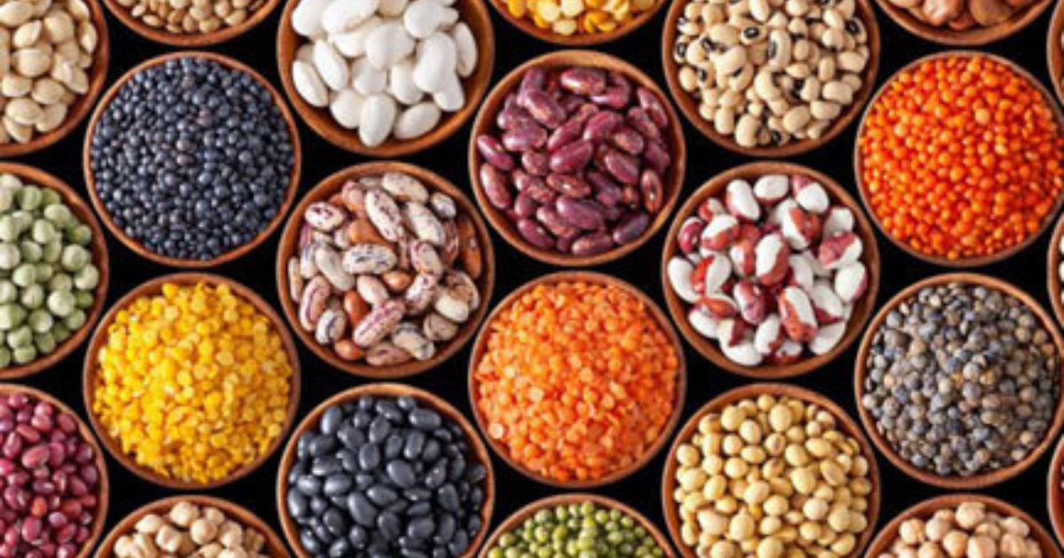 DMAW Lawyers • Mario Pegoli features on Stock Journal – OPINION: Sowing ...